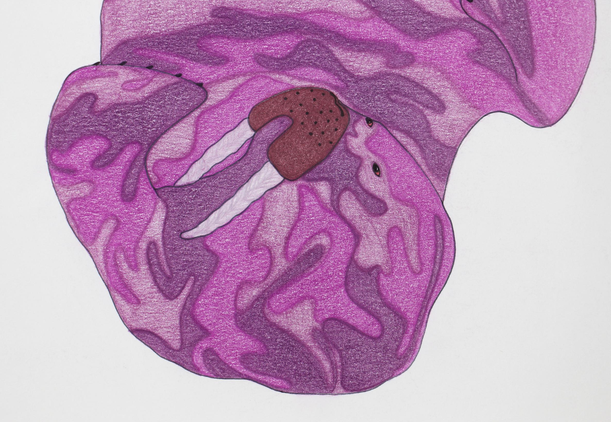 Ink and Ice: Inuit Drawings and Prints