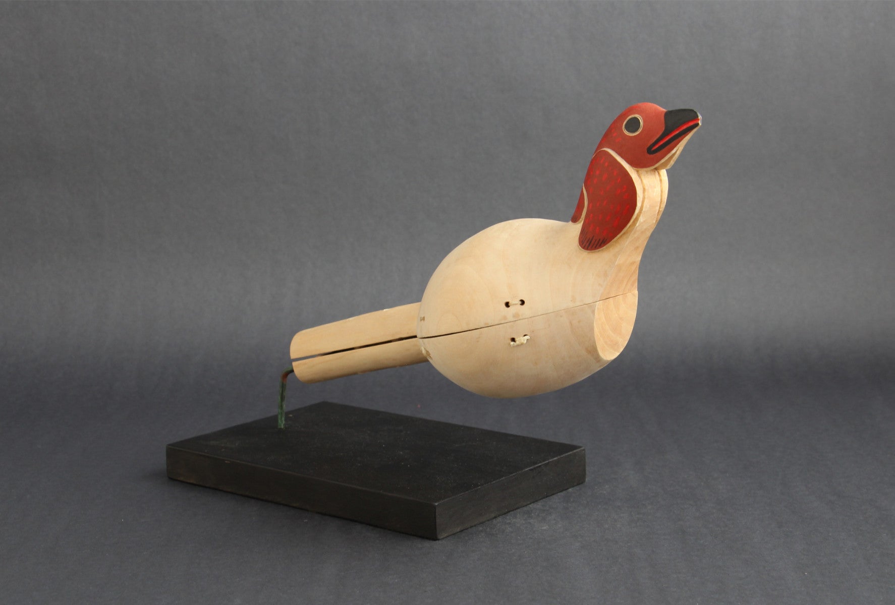 Joe David: Ka-ka-win-chealth, A Life's Journey