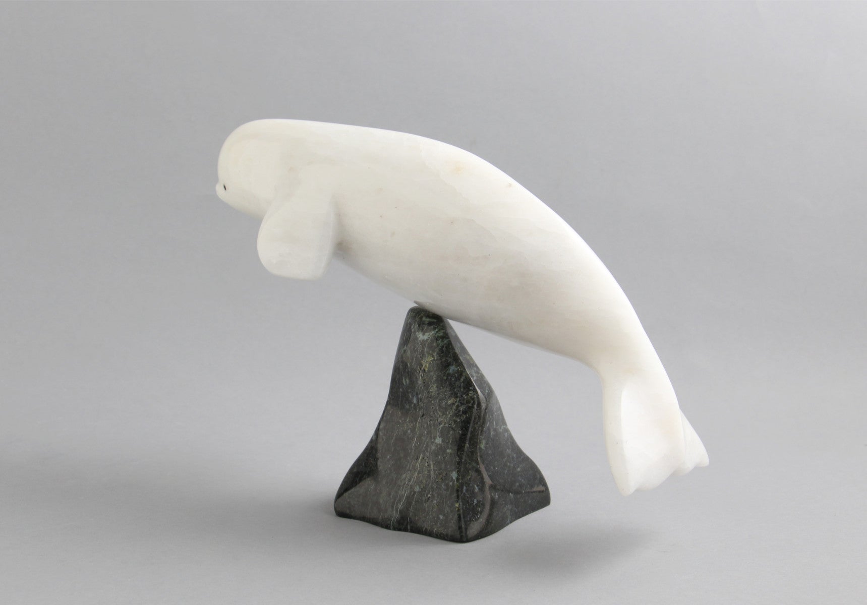 Beluga on Base by Johnnysa Mathewsie