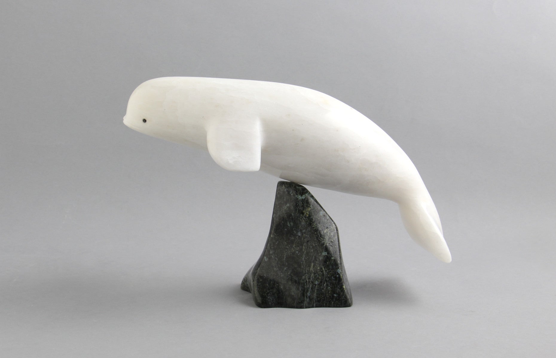 Beluga on Base by Johnnysa Mathewsie