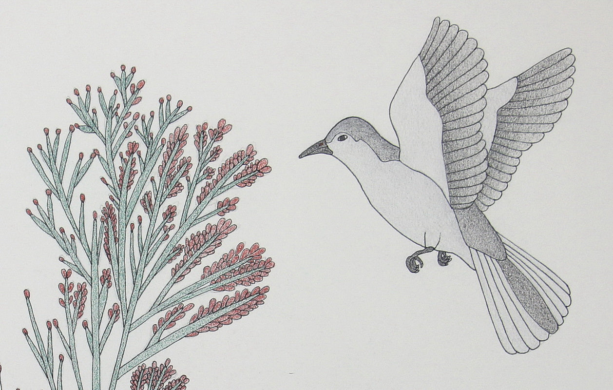 Untitled (Berry Picking) by Qavavau Manumie