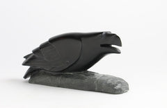 Crouching Raven by John Sabourin