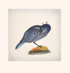 Smoking Raven by Qavavau Manumie